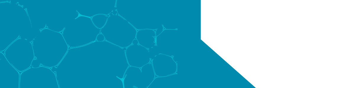 Medical Research Council (MRC) – UKRI