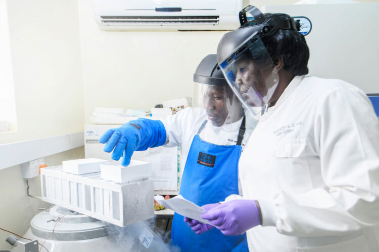 Apply for funding – UKRI