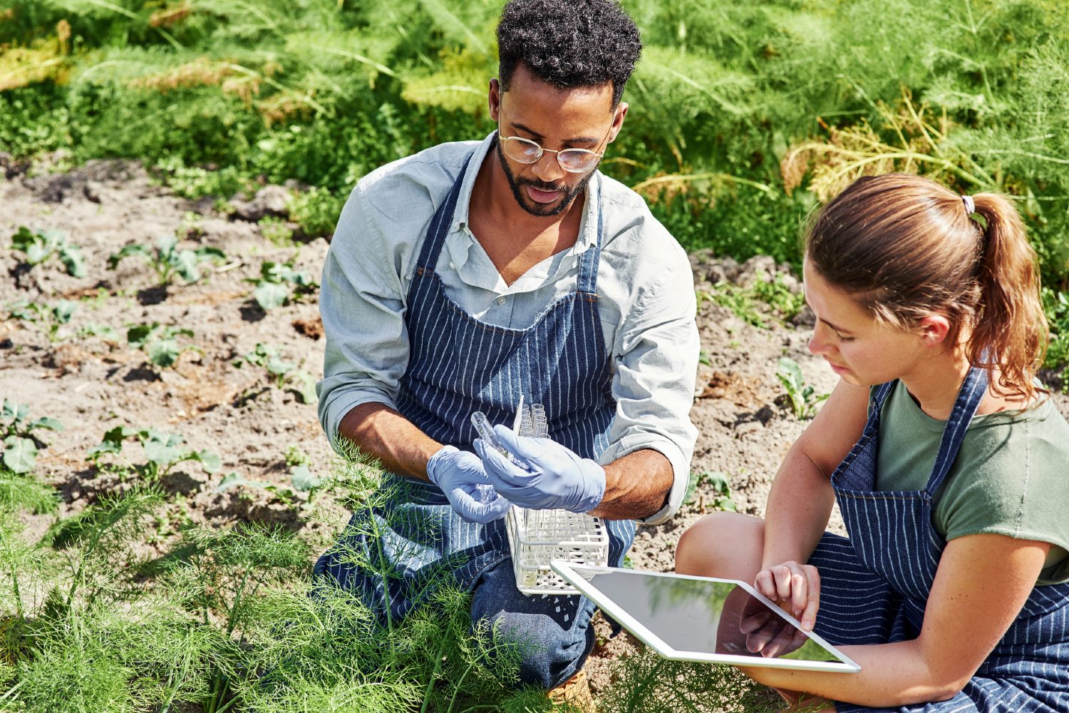 Developing people and skills – UKRI