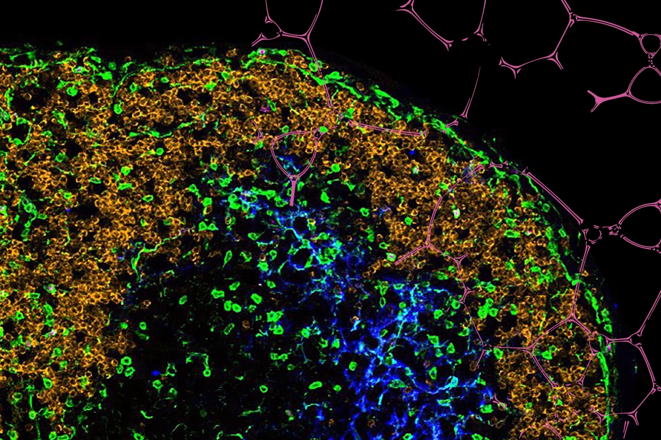 BBSRC impact showcase 2020 – UKRI
