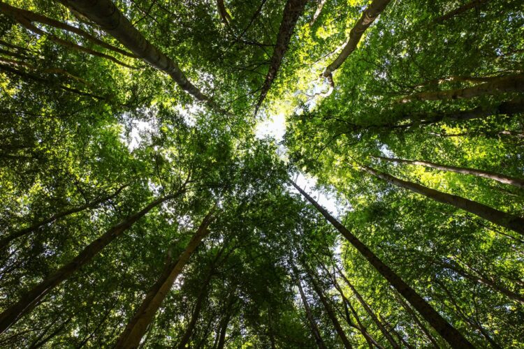 Who we are – UKRI