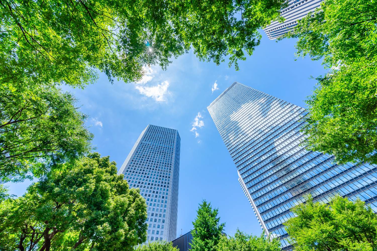 Sponge cities: sustainable places using nature-based solutions – UKRI