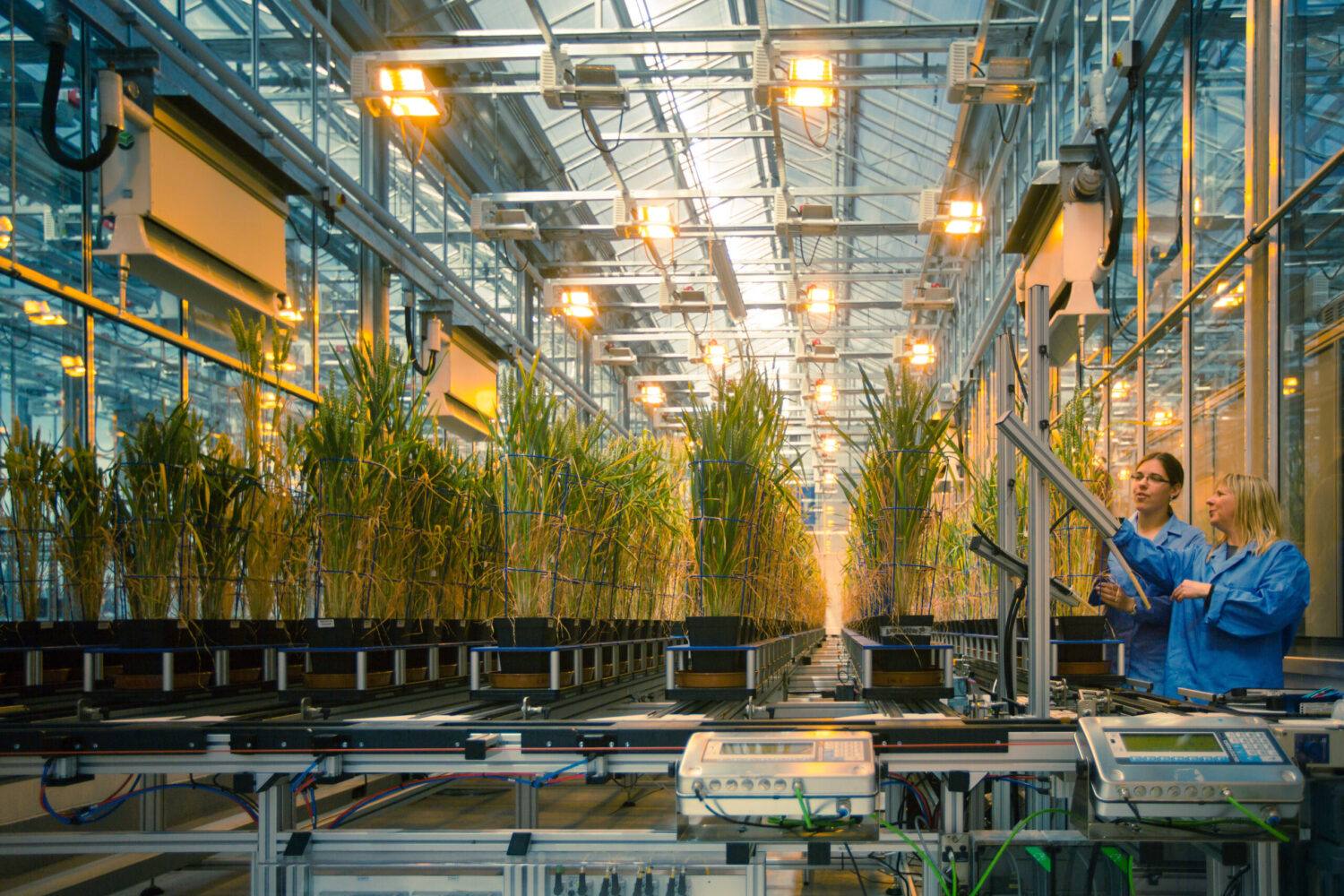 Biotechnology and Biological Sciences Research Council (BBSRC) – UKRI