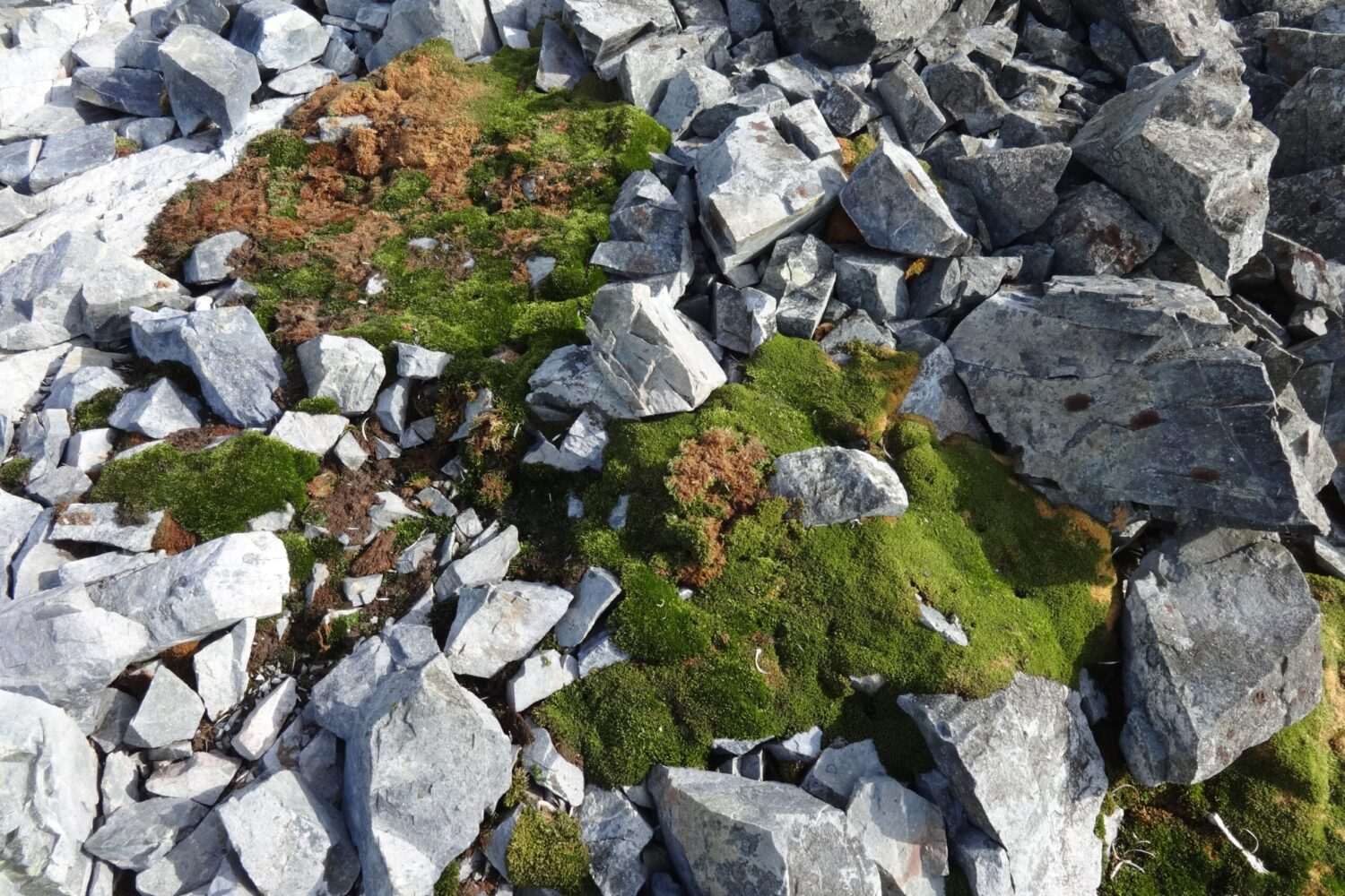 Natural Environment Research Council (NERC) – UKRI