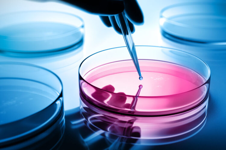 BBSRC injects £12m into pioneering frontier bioscience research – UKRI