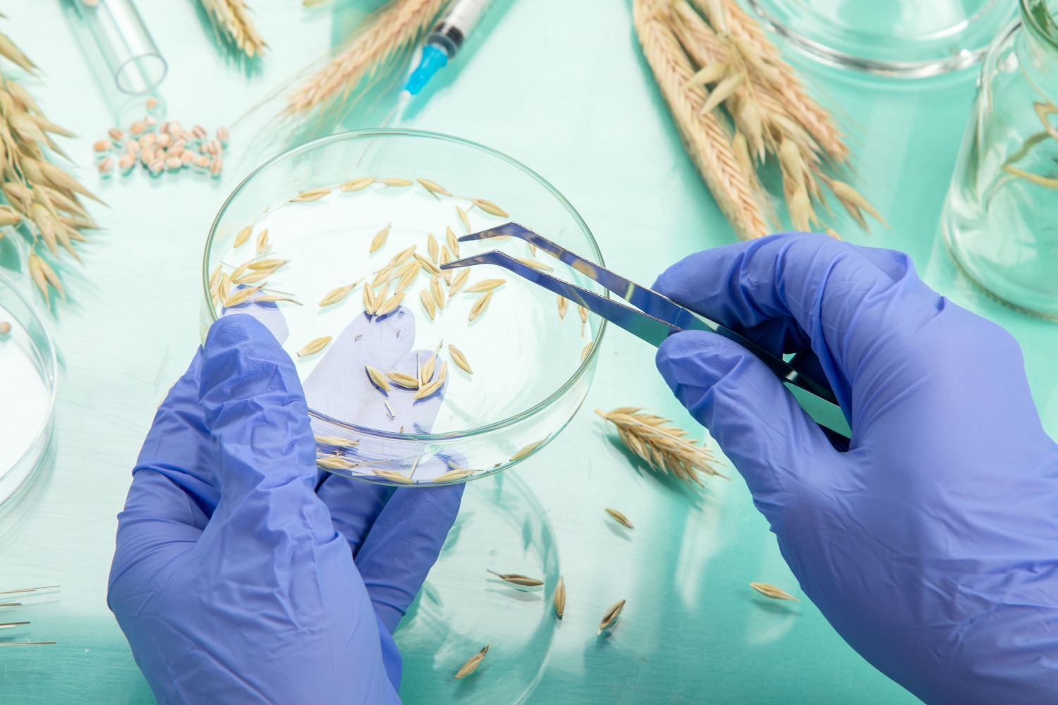 Transforming food production: innovative projects shaping the future – UKRI