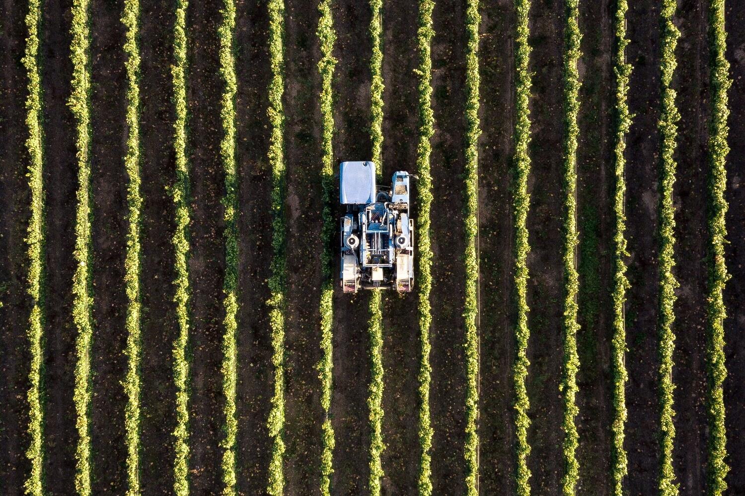 Farmer-led projects receive new funding boost – UKRI Farmer-led projects receive new funding boost – UKRI