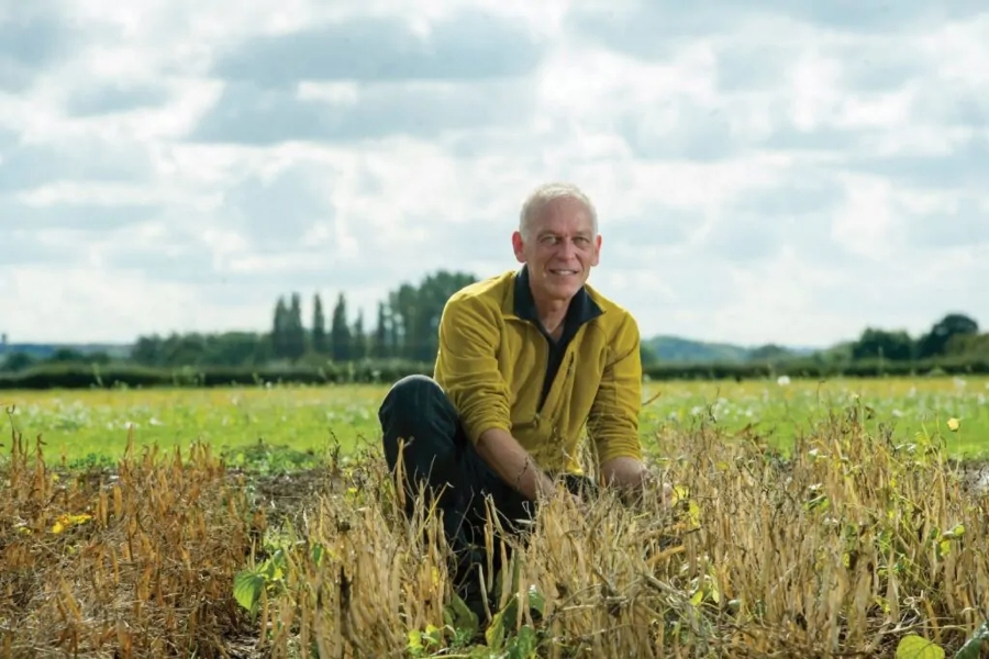 UK’s first crop of homegrown designer beans – UKRI