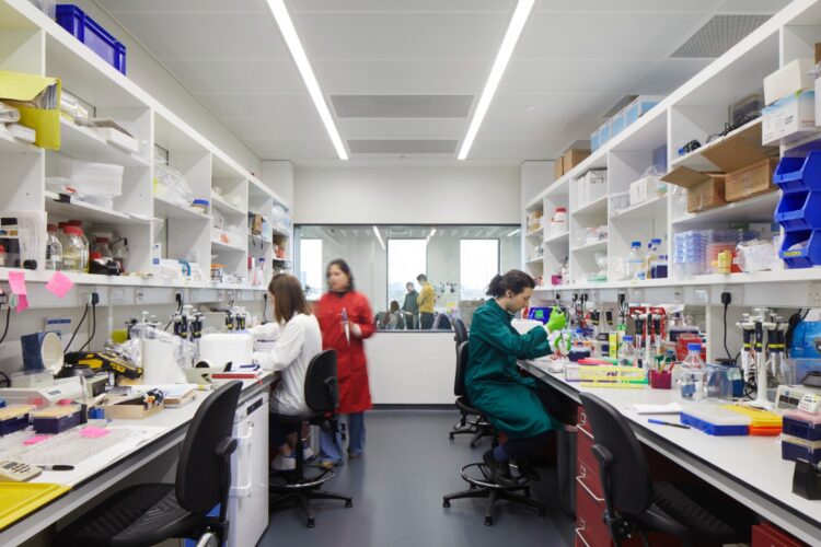 Blueprint for a team science dreamhouse – UKRI