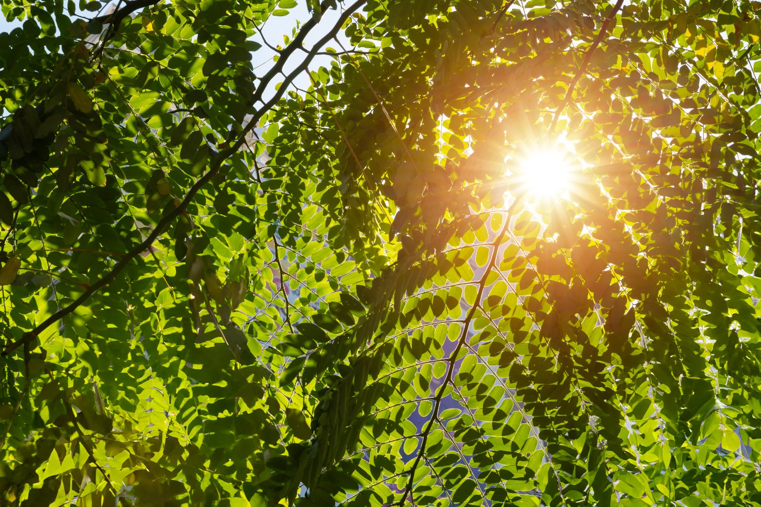 Natural Environment Research Council (NERC) – UKRI