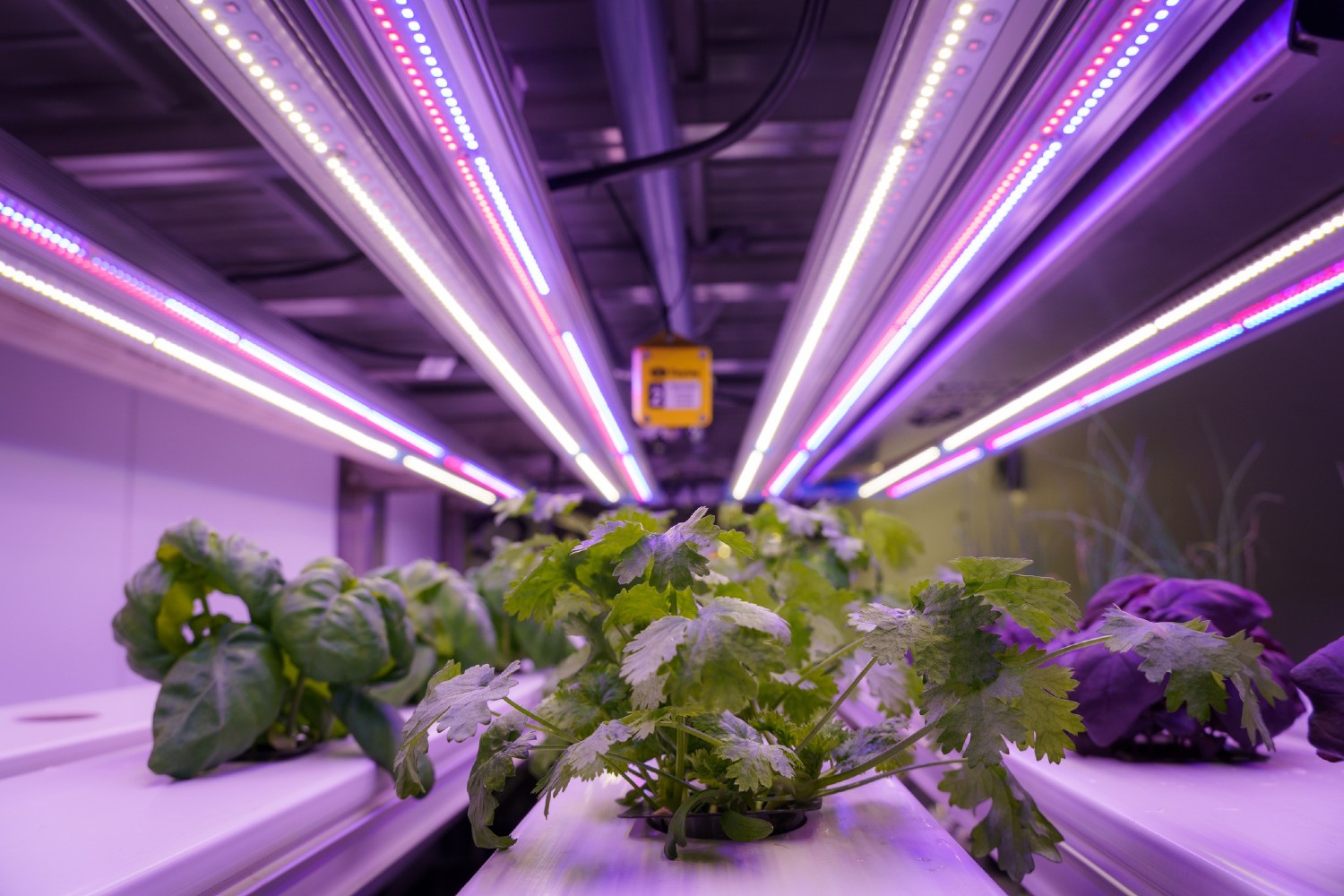 UK Agri-Tech Centre launches in April – UKRI