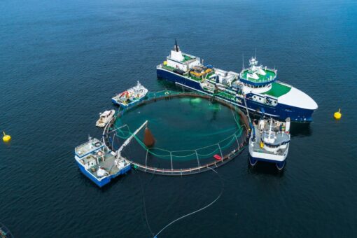 Biotechnology and Biological Sciences Research Council (BBSRC) – UKRI