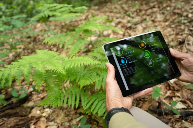 Transforming environmental science with the power of AI – UKRI