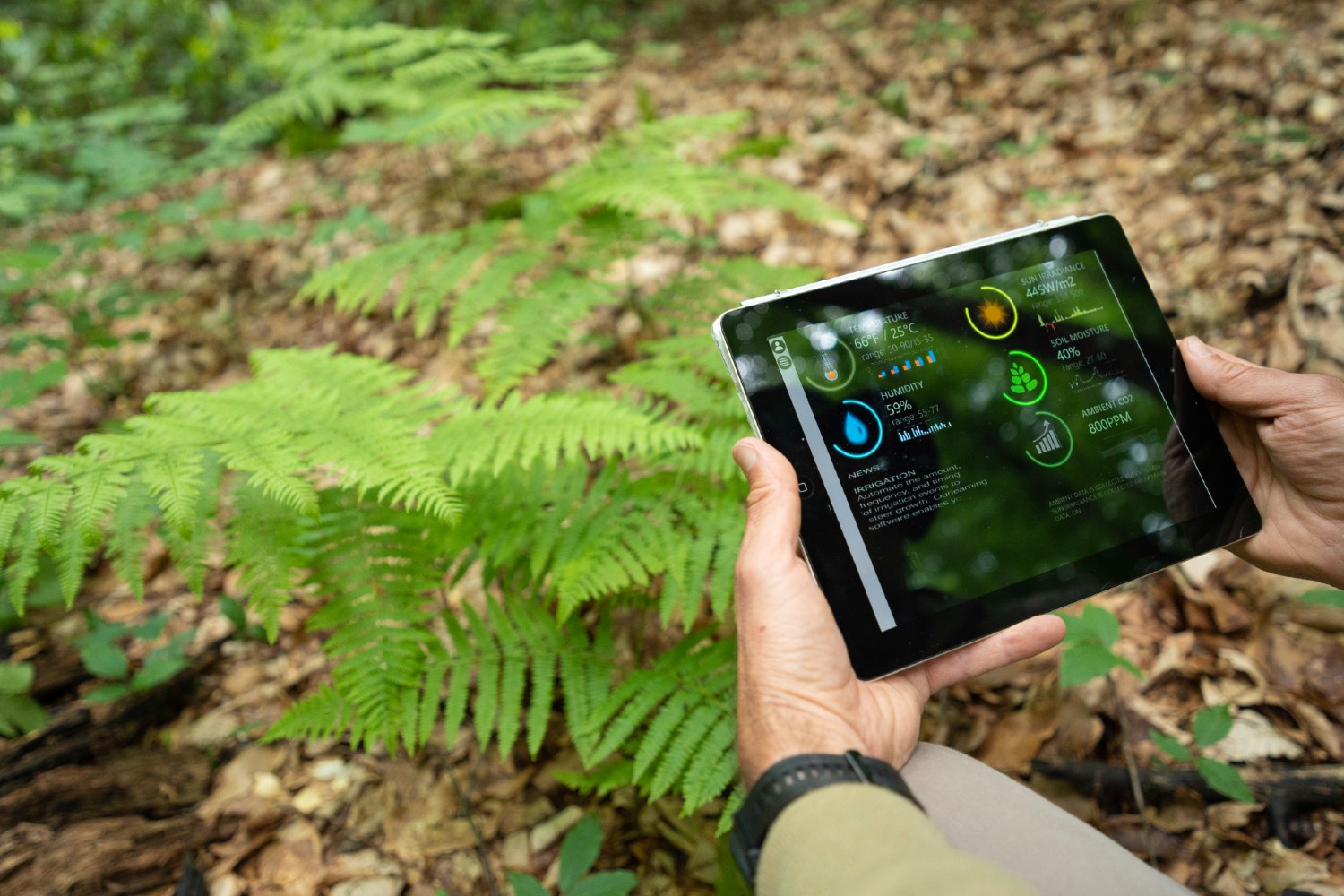 Transforming environmental science with the power of AI – UKRI