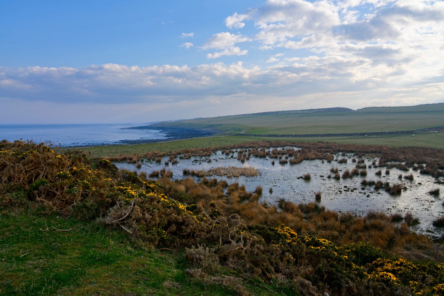 Successful impact of nature-positive AI projects – UKRI