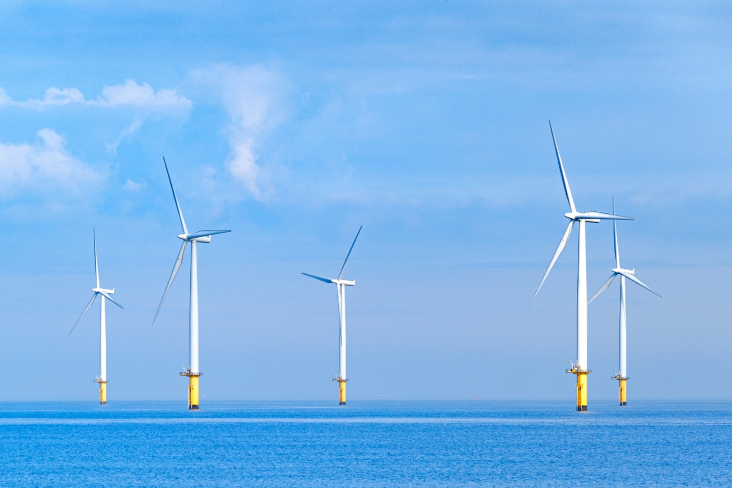 Environmental science is worth £3.3 billion to UK offshore wind – UKRI