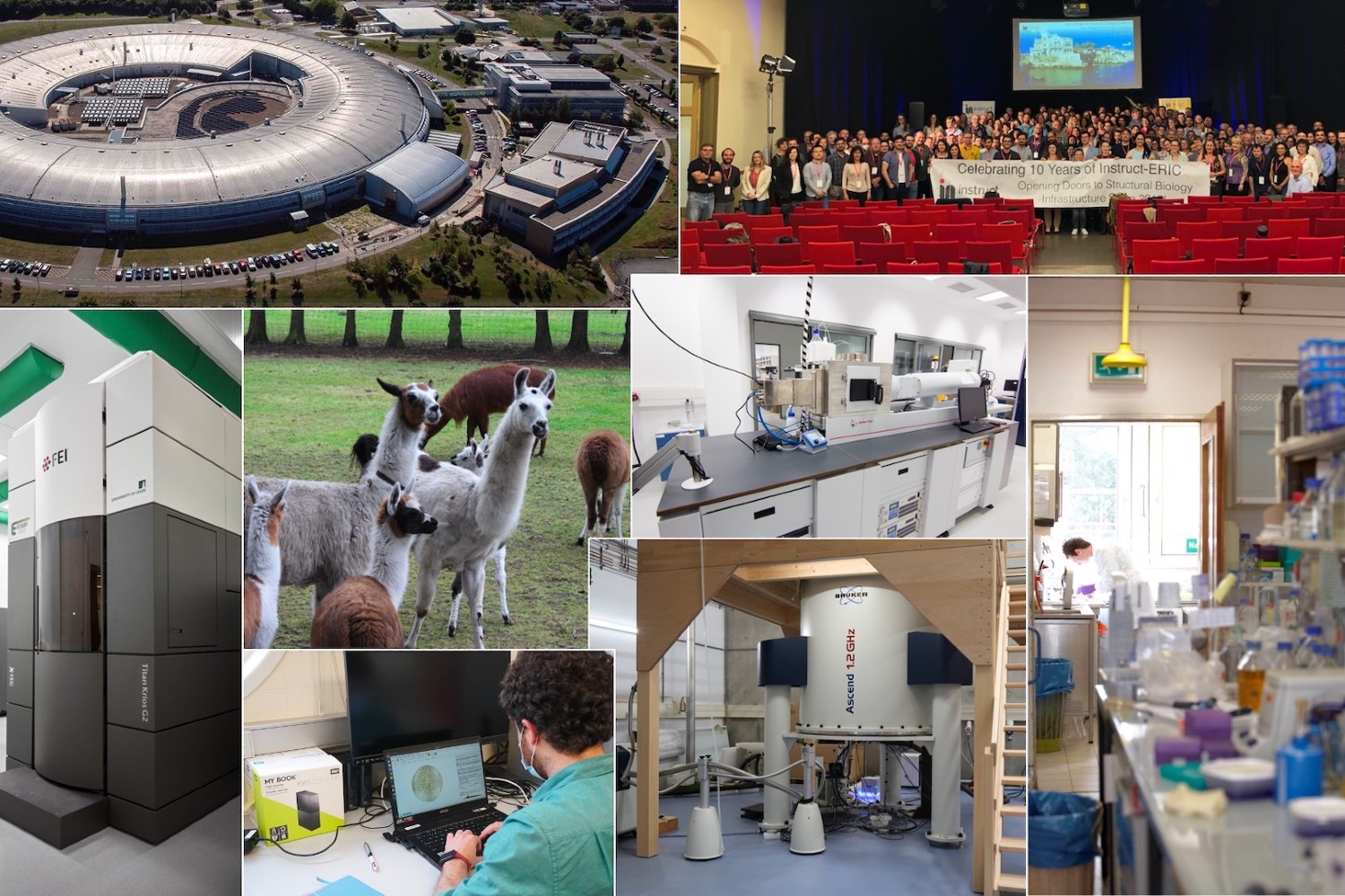 Advancing structural biology through Horizon Europe funding – UKRI