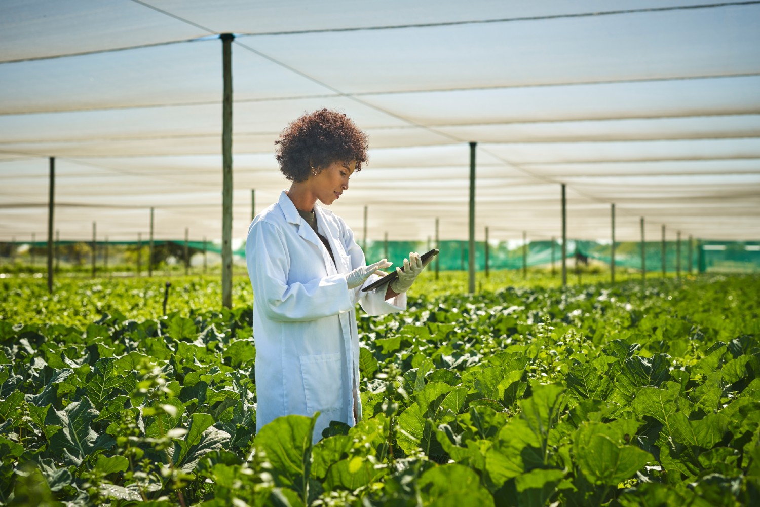 Economic and Social Research Council (ESRC) – UKRI